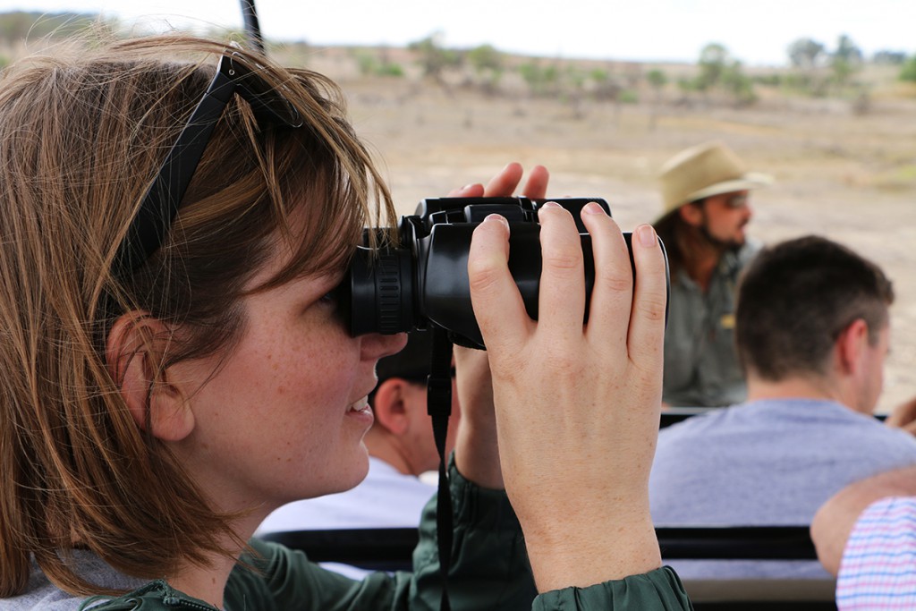 Review: Wild Clover, South Africa - The Professional Vagabond