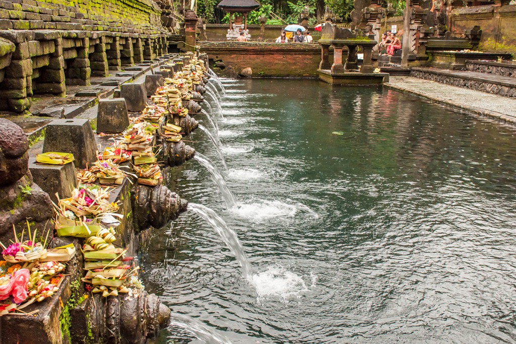 7 Things to Do in Ubud - The Professional Vagabond